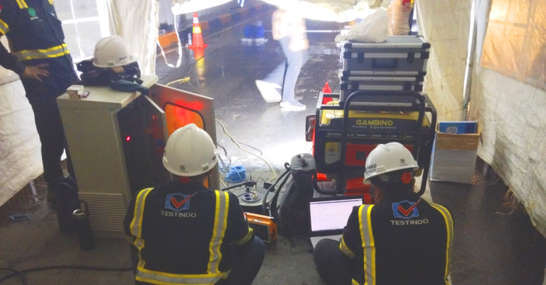 Home - Testindo Consultant